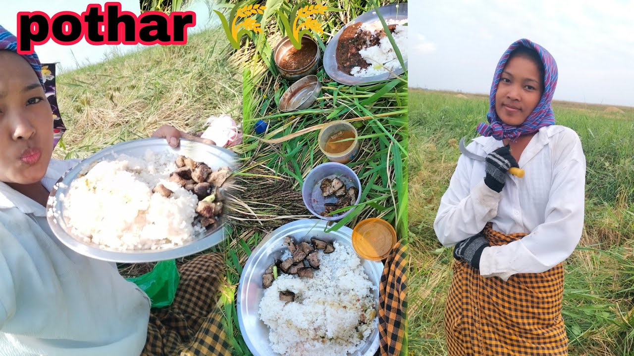 pothar 🌾 ধান খাটিব আহিলো🌾🌾#mainalagachu - YouTube