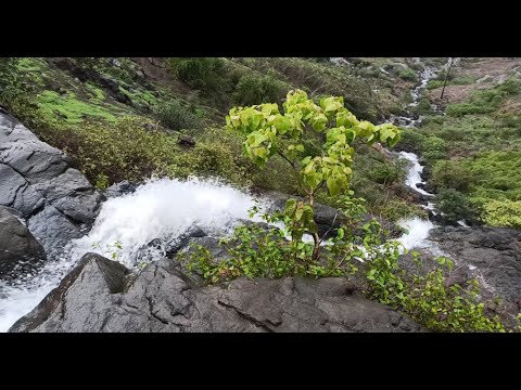Everything You Wanted to Know About Adai hills | By Rahul Nair Riding ...