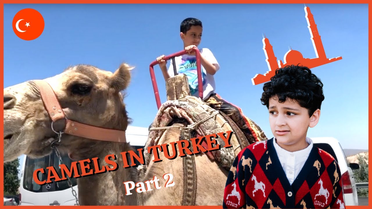 Riding Camels! Turkey Pt. 2 - YouTube