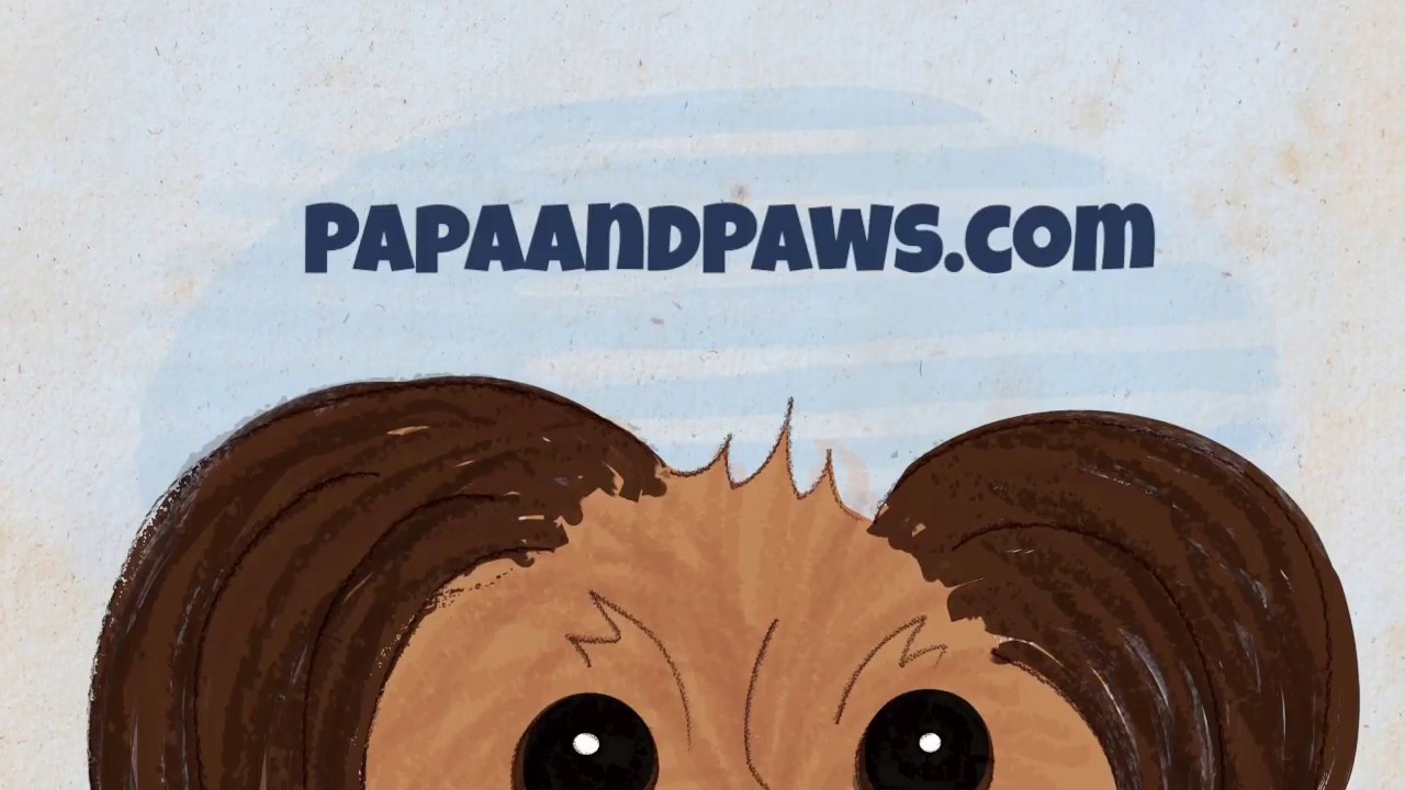 Papa & Paws Book 1 Title Reveal - YouTube