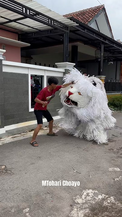 Bocil dikejar can macanan bapaknya ngamuk bawa golok - YouTube