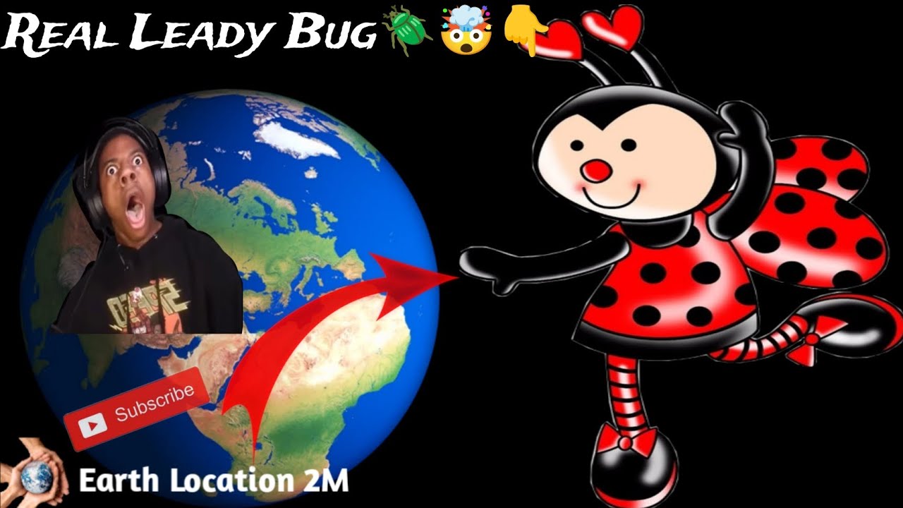 Real Leady Bug 🪲🤯👇 on google map and google earth 🌎 #earthlocation2m # ...