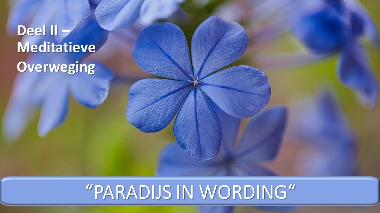 Deel II - Paradijs in Wording - Overweging - YouTube