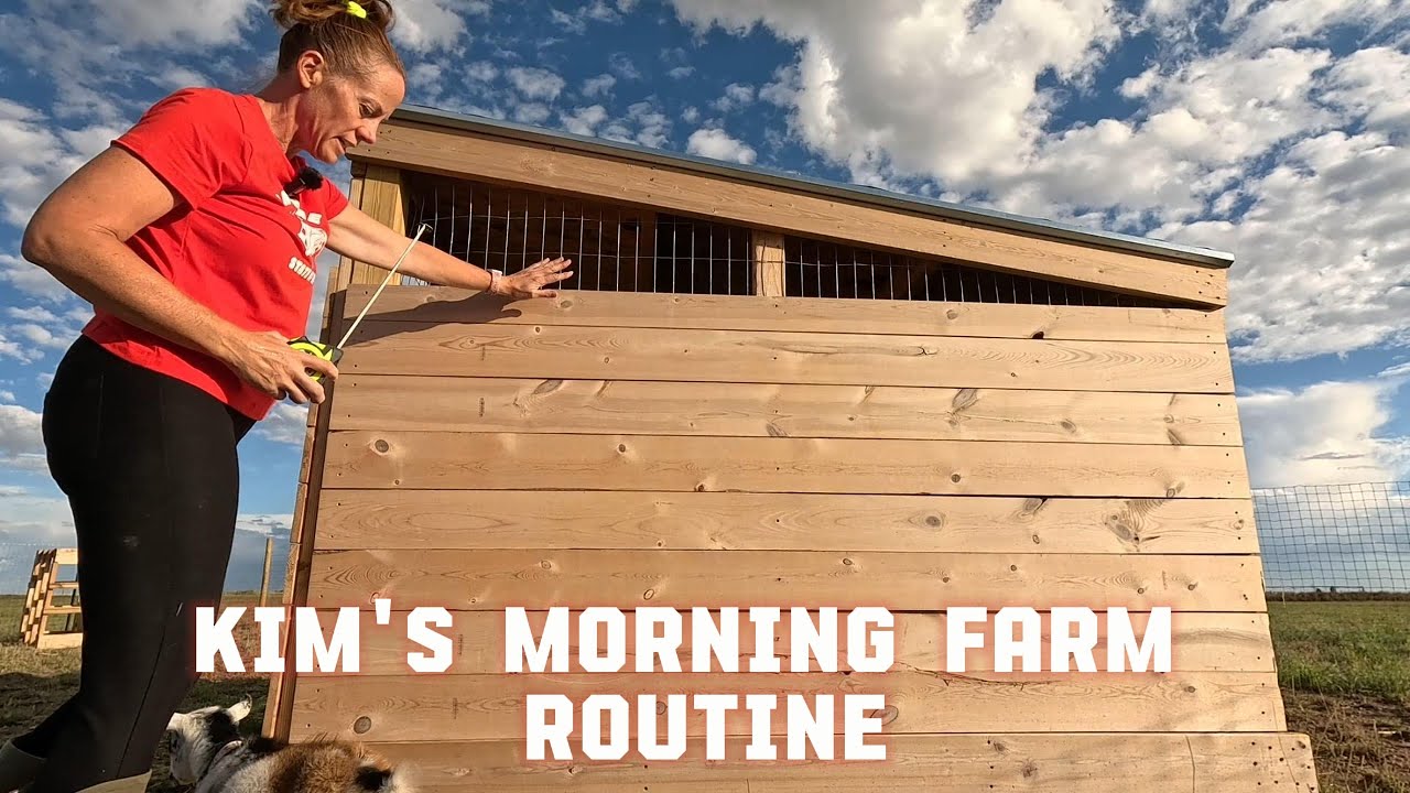 Episode 53: Kim's Morning Farm Routine - YouTube