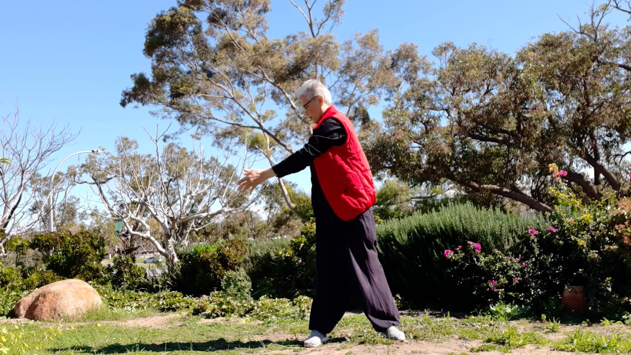 Tai Chi Ruler 1 - YouTube
