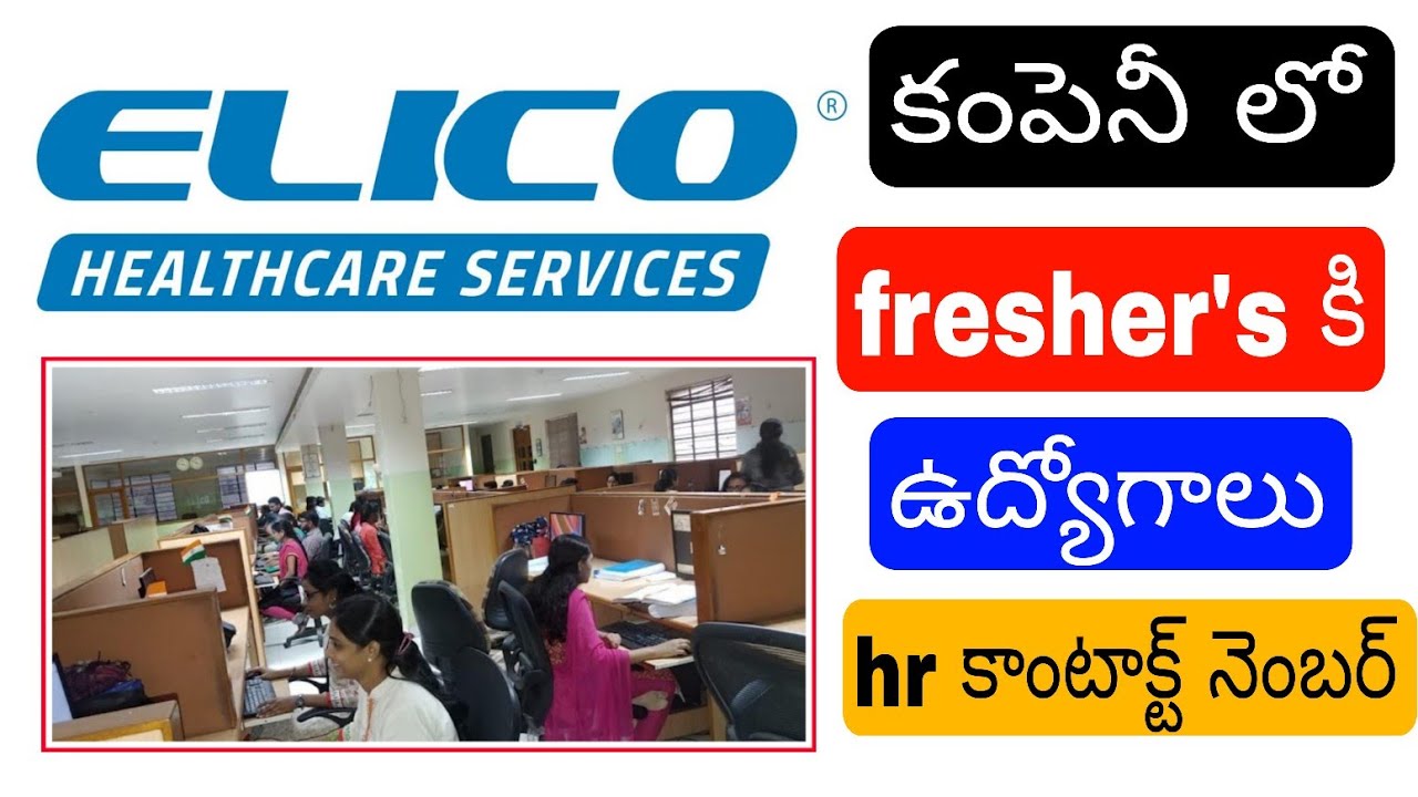 elico healthcare services private limit company jobs openings full ...