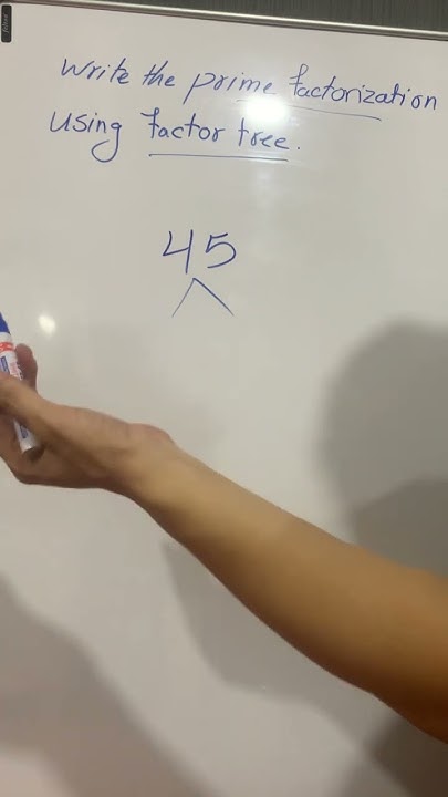 𝐏𝐫𝐢𝐦𝐞 𝐅𝐚𝐜𝐭𝐨𝐫𝐢𝐳𝐚𝐭𝐢𝐨𝐧: 𝐮𝐬𝐢𝐧𝐠 𝐟𝐚𝐜𝐭𝐨𝐫 𝐭𝐫𝐞𝐞 - YouTube