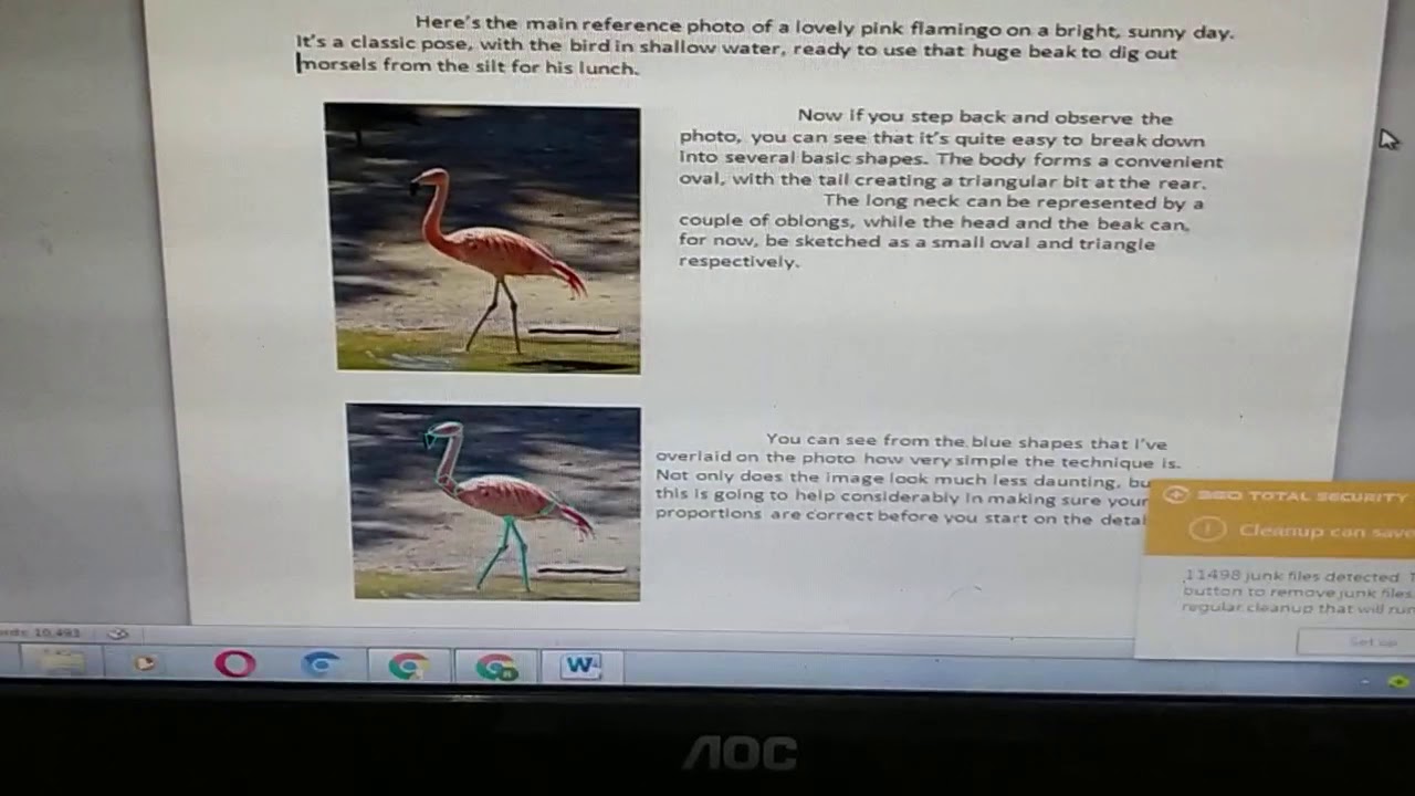 The Flamingo Trace - YouTube