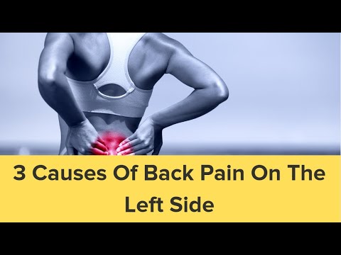 What Can Cause Back Pain On The Left Side | 3 Causes Of Back Pain On ...