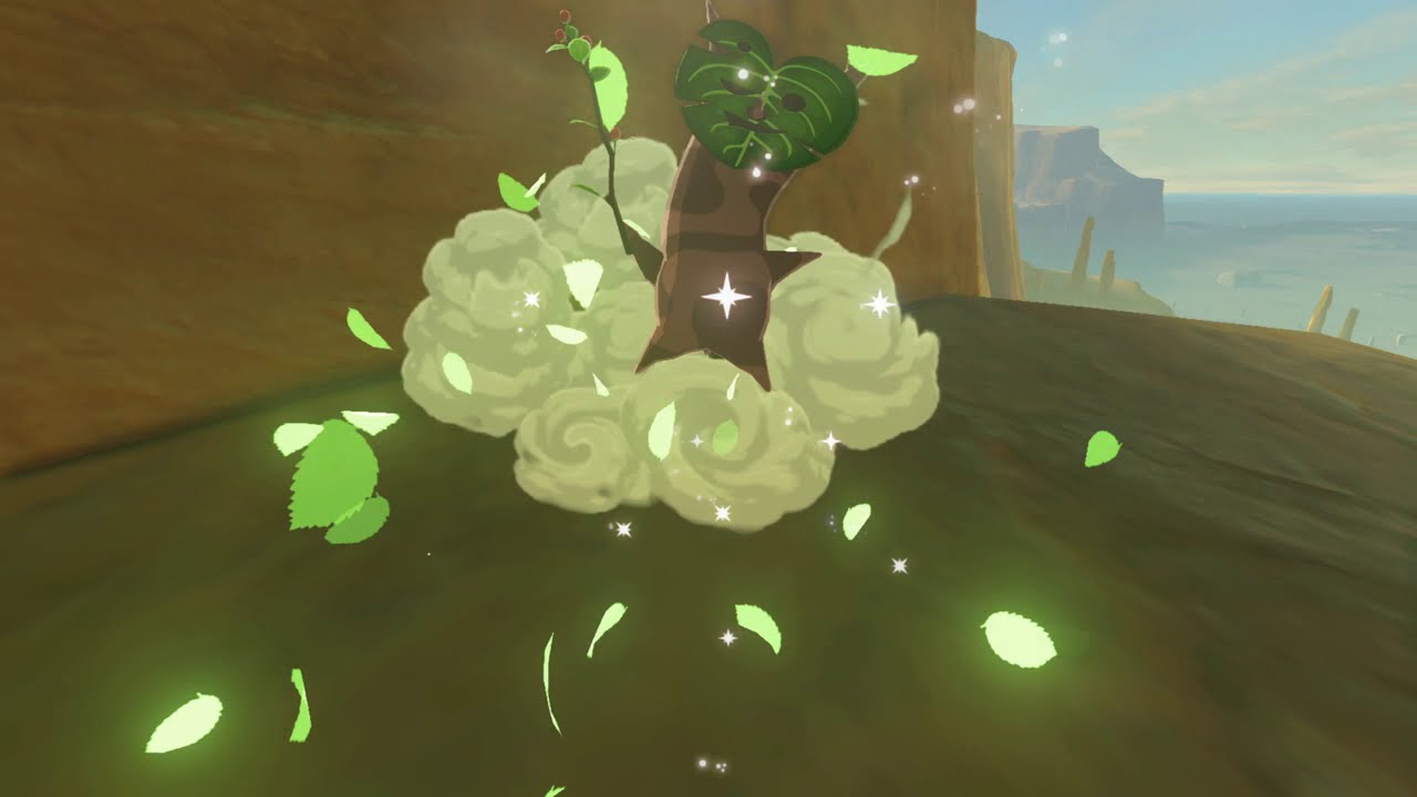 Korok seeds | Spectacle Rock | Wastland Tower #15 | Zelda BOTW - YouTube