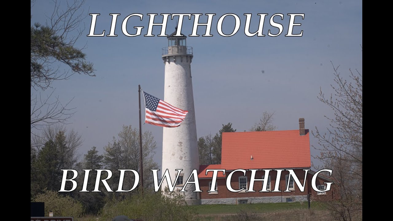 Tawas Point Lighthouse and Bird Watching - YouTube