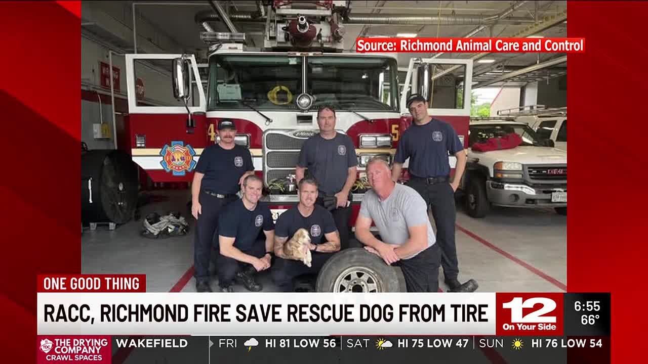One Good Thing: Richmond Fire save rescue dog from tire - YouTube