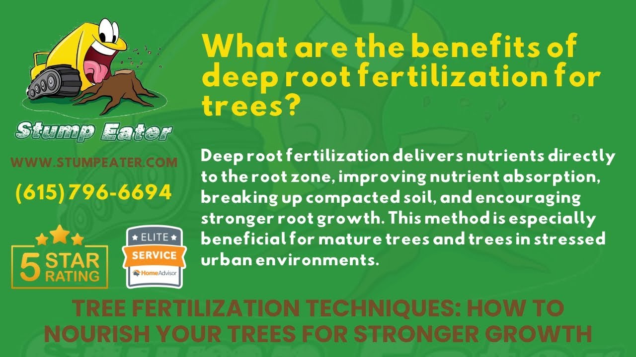 What are the benefits of deep root fertilization for trees? - YouTube