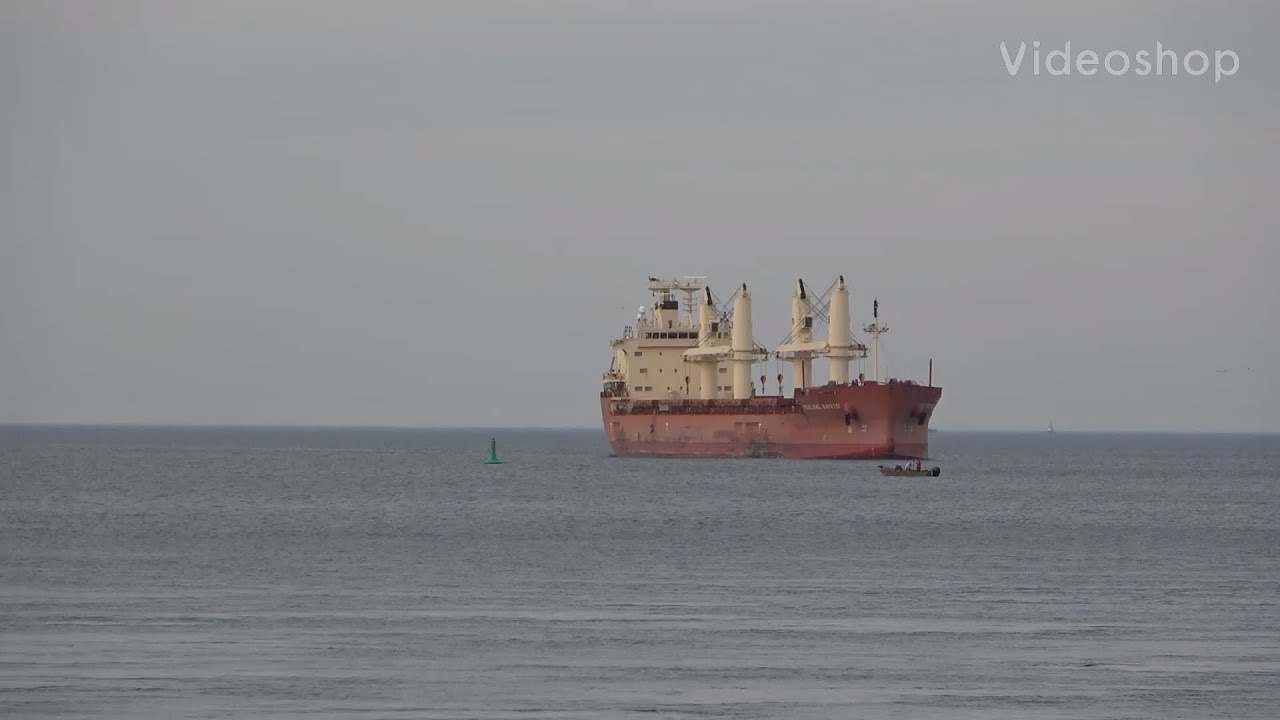 Ocean going cargo ship, Federal Bristol, passing Sarnia, Ontario ...