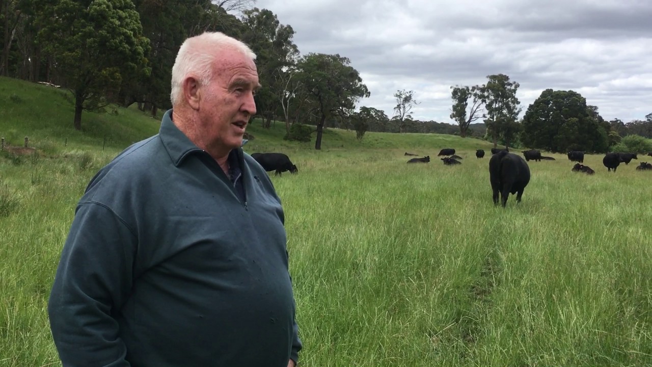 Brian Mobbs of High Spa Angus - YouTube