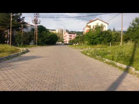 Kuzularım aksamları babalarını karsılıyorlar