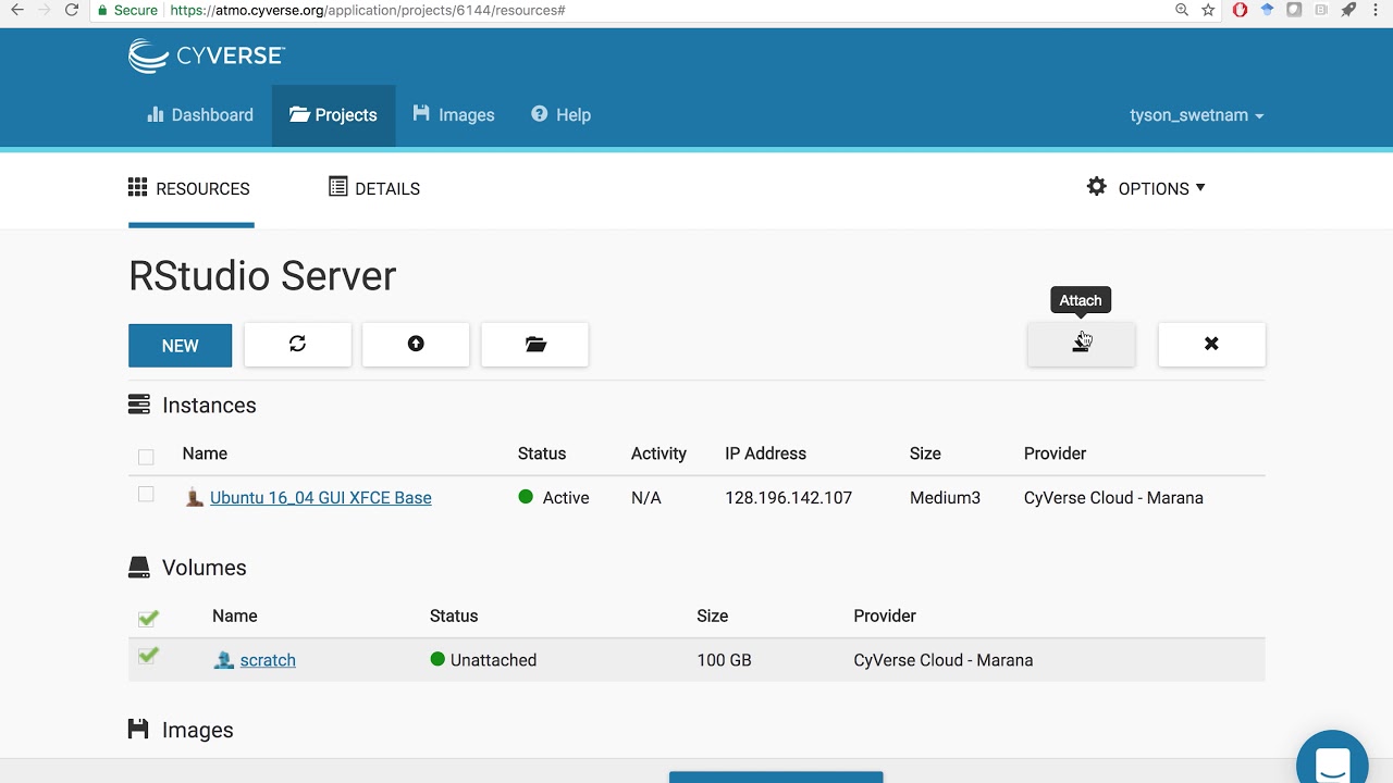 CyVerse Focus Forum Docker Rstudio-Server demo - YouTube