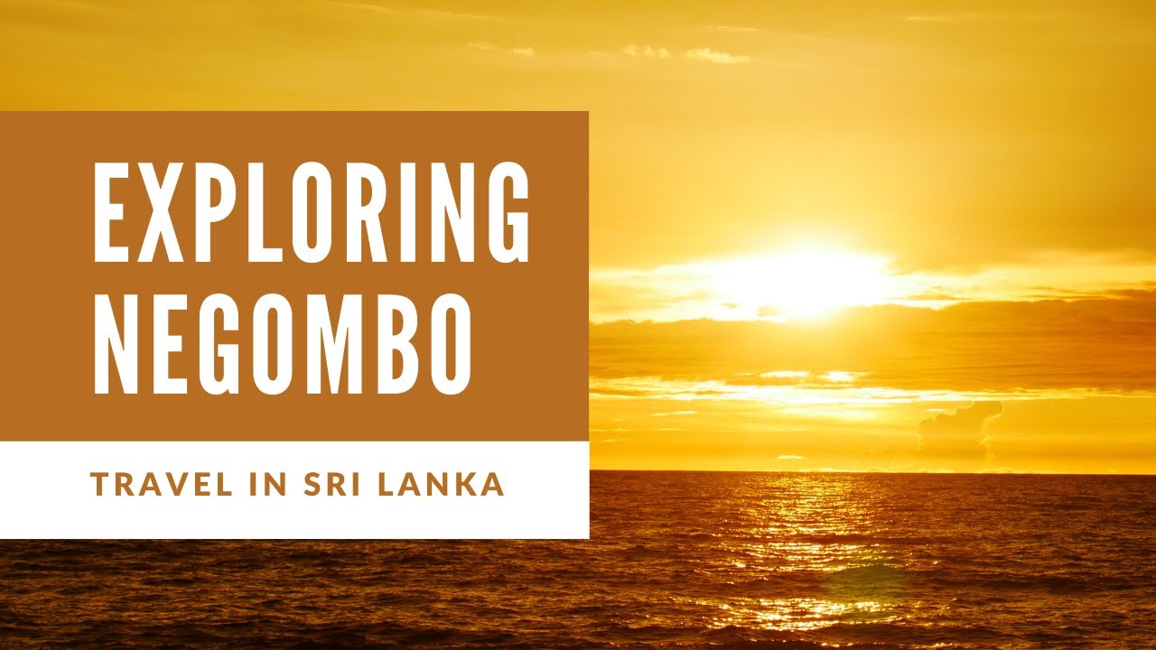 Negombo City Guide | Negombo Attractions | City Tour - YouTube