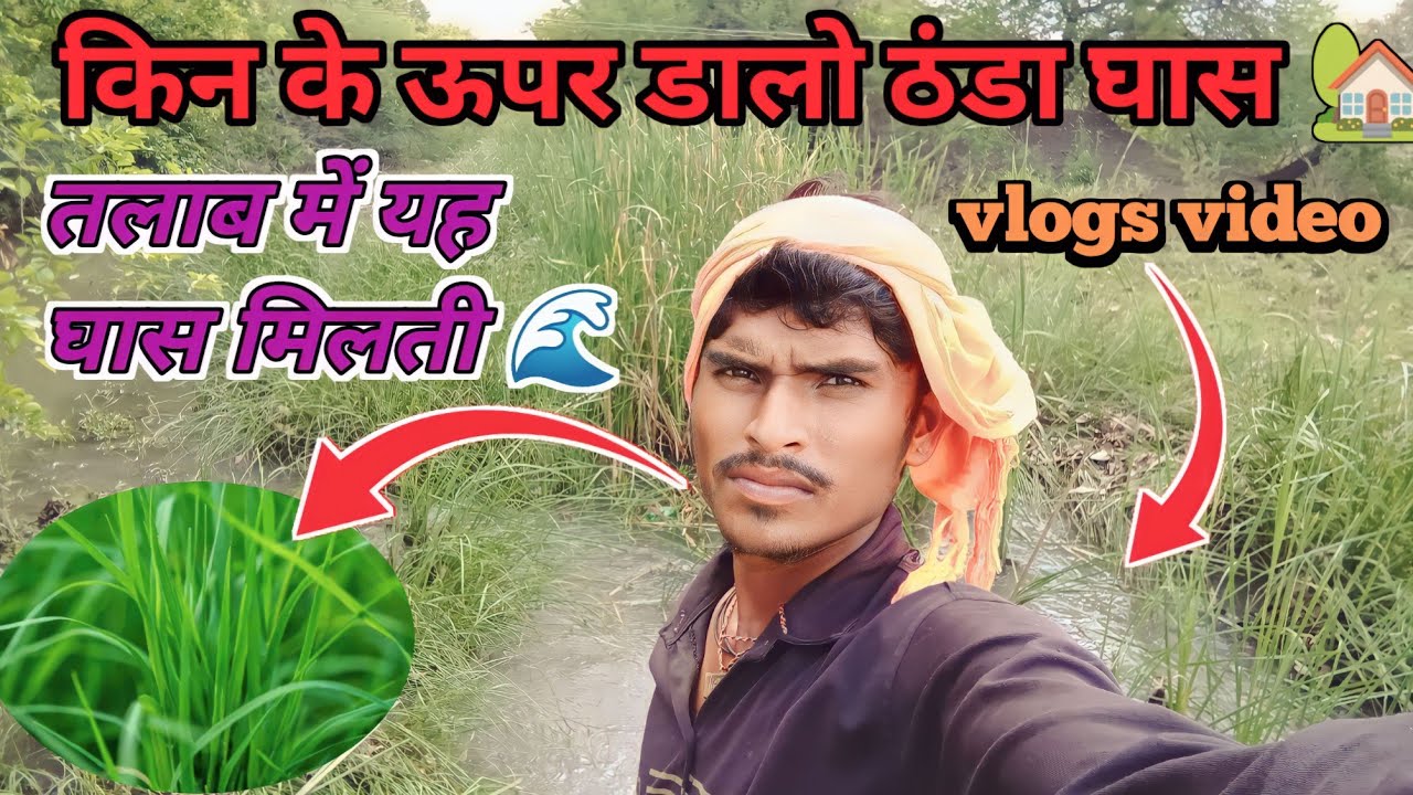 Kash Thanda video Ghas block video Ghas video Thanda video jhopdi video ...