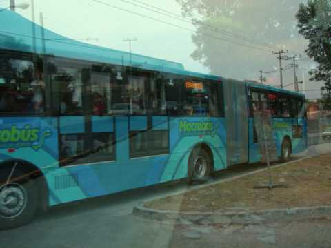 MACROBUS DE GDL - YouTube