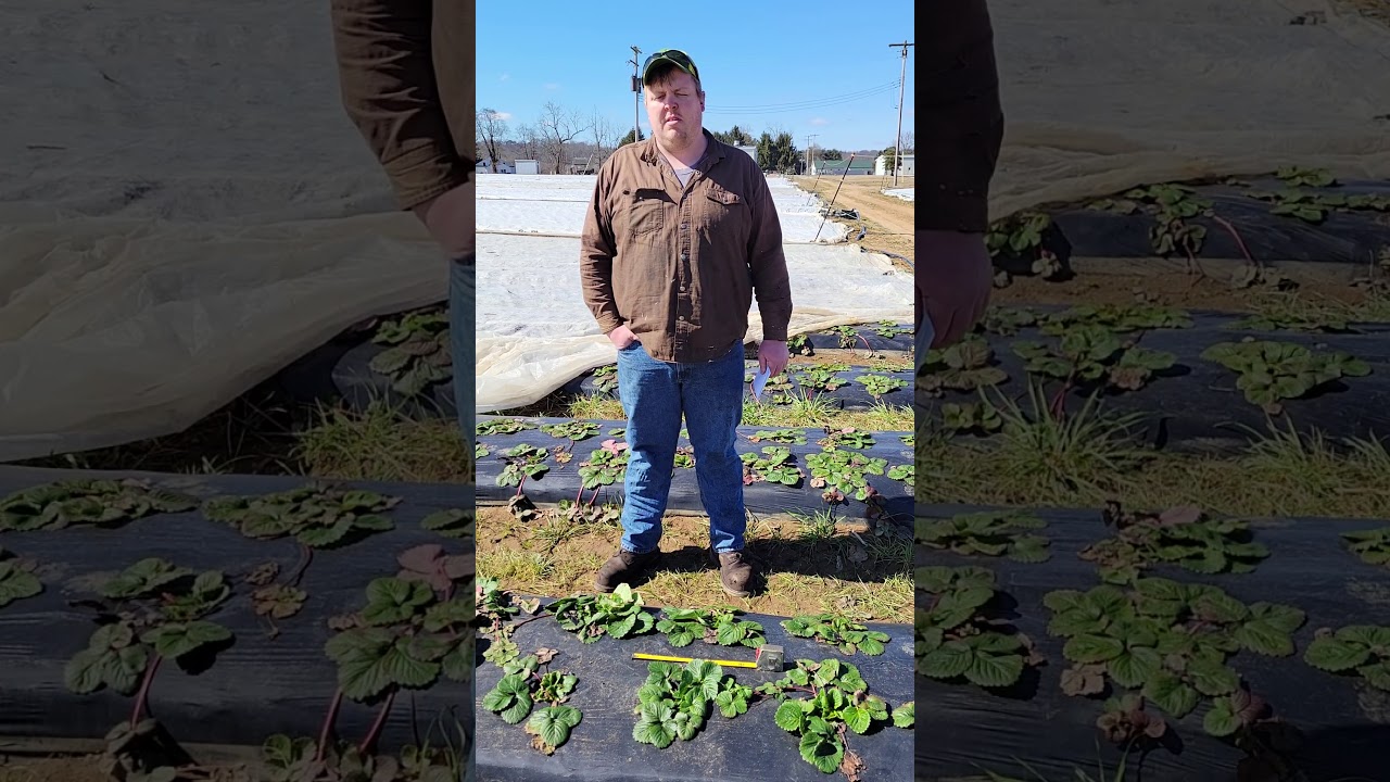Stacy Family Farm, Ohio - YouTube