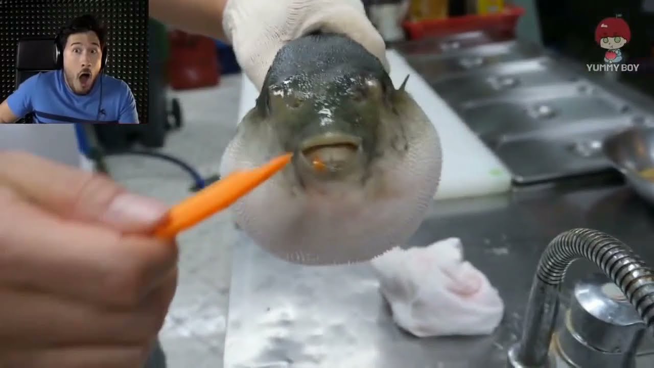 টেপা মাছ 10 ধরনের টেপা মাছ টেপা মাছ ধরা Tepa fish 10 Types Of Tepa Fish ...