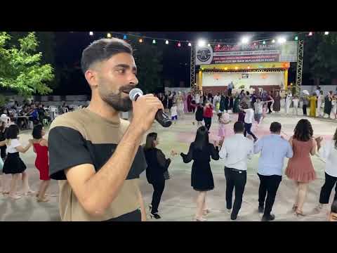 GRUP HERDEM BETA NOVIM ŞİRİNE & KÖMÜR GÖZLÜM 2024