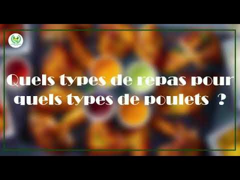 La différence entre le poulet de chair et la poule pondeuse - YouTube