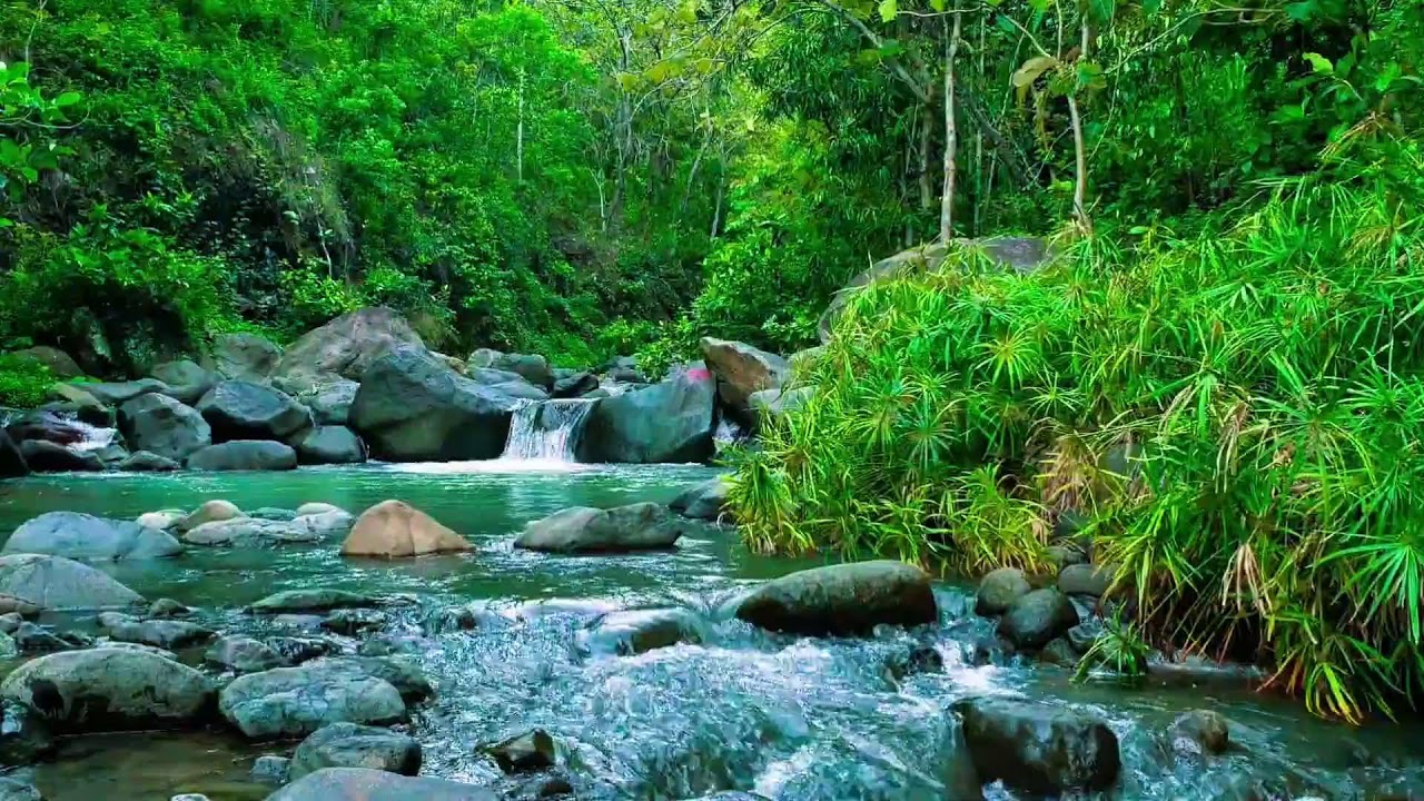 Calming Gentle Stream Water Nature Ambience For Sleeping And Peaceful ...