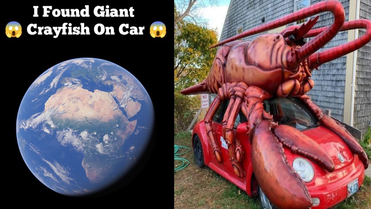 I Found Giant 😱 Crayfish On Car 😱On Google Earth & Map - YouTube