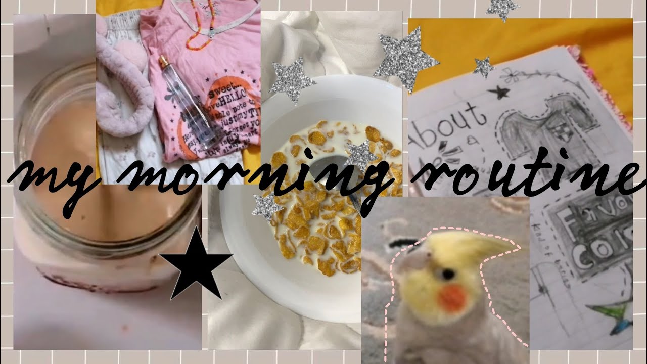 My MORNING ROUTINE | Crohn Bella parrot⭐🌿 - YouTube