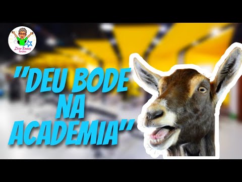 "Deu Bode na Academia" ASSISTA E SE DIVIRTA - YouTube