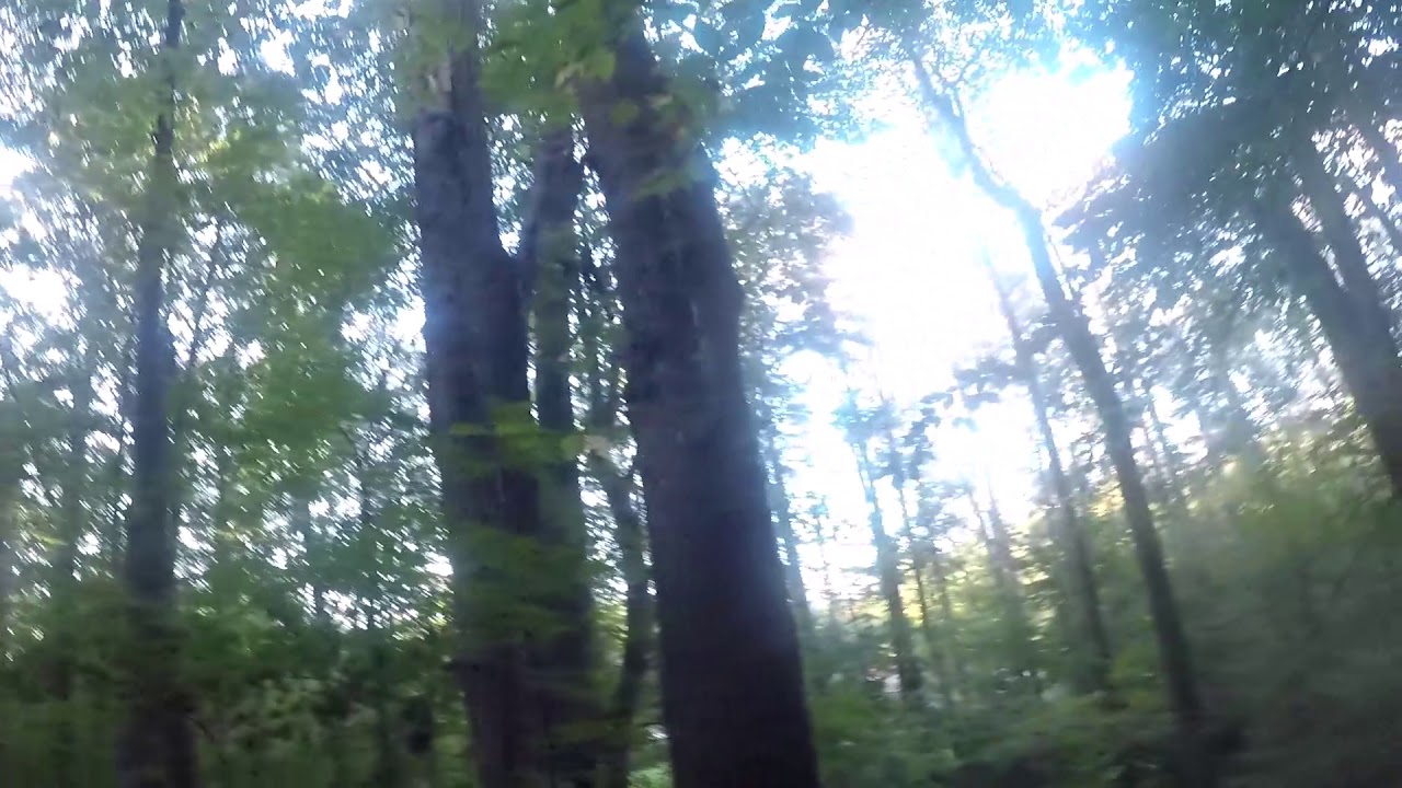 Jacobs Run 0001 - YouTube