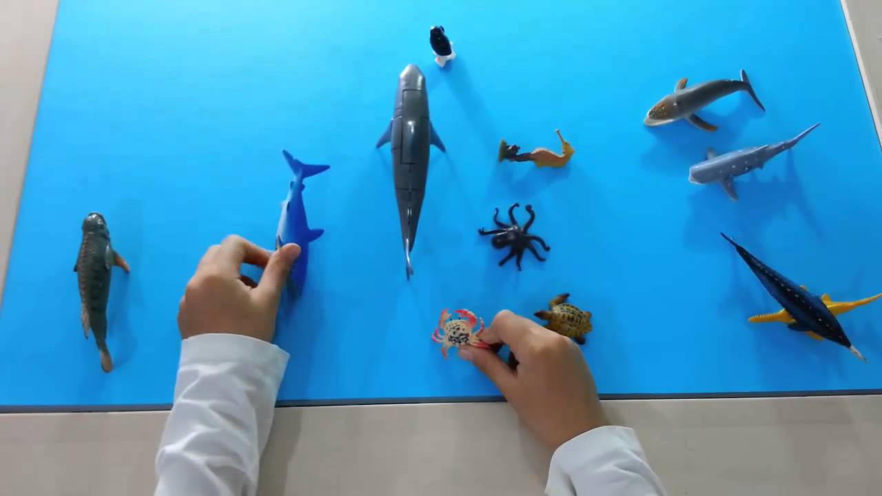 Toy Predatory Animals | Toy Predatory Animals | Games With Animals ...
