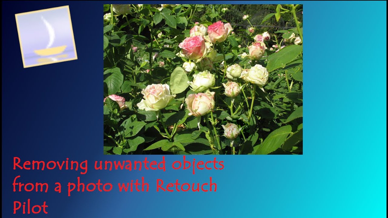 Removing unwanted objects from a photo with Retouch Pilot - YouTube