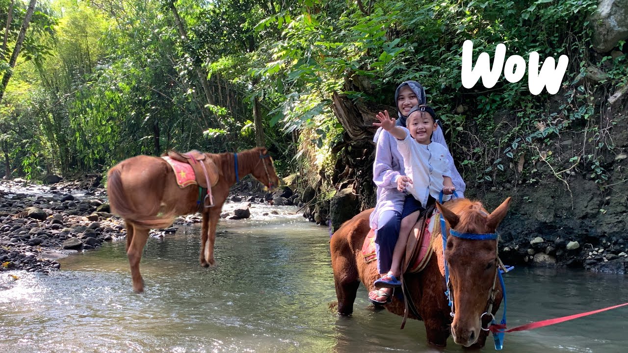Naik Kuda Melewat Sungai di Bale Kuda Stable l Mengenal Binatang untuk ...
