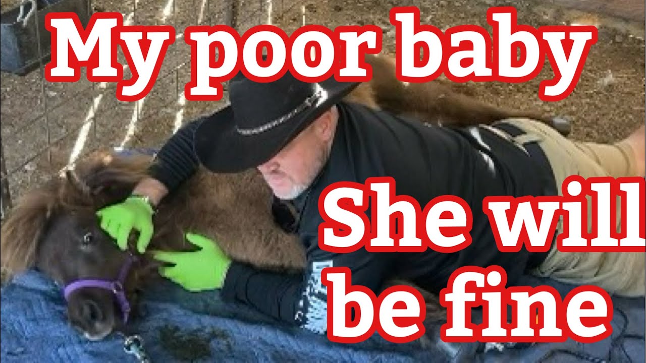 Buffy needs medical attention. - YouTube