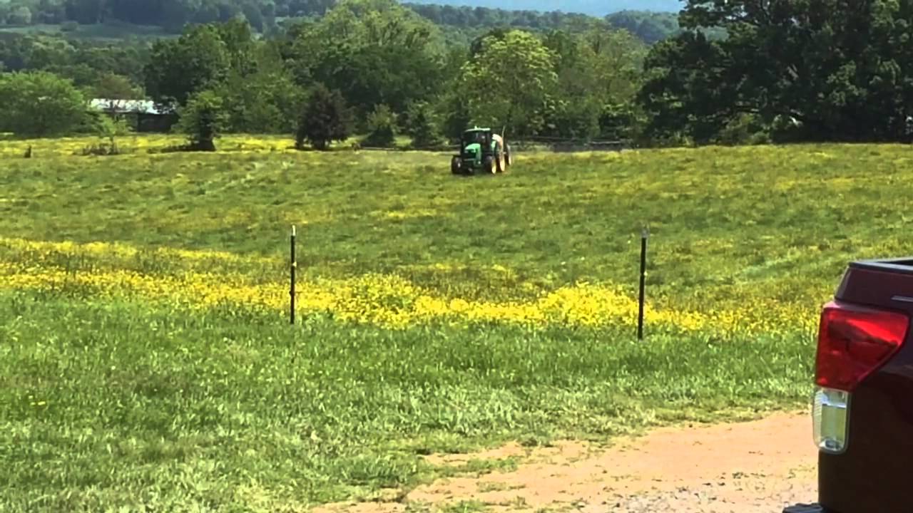 Spraying the Buttercups - YouTube