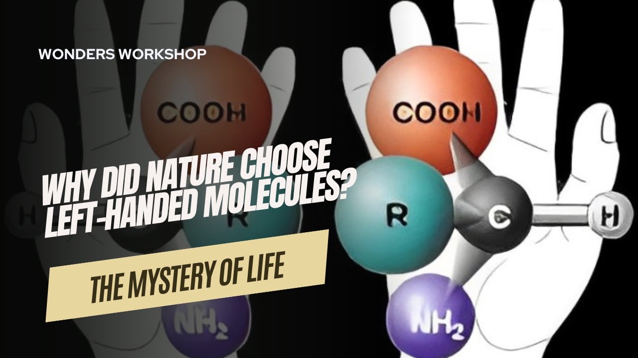 The Mystery of Life: Why Did Nature Choose Left-Handed Molecules? - YouTube