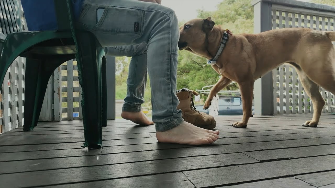 Just Another Tuesday - YouTube