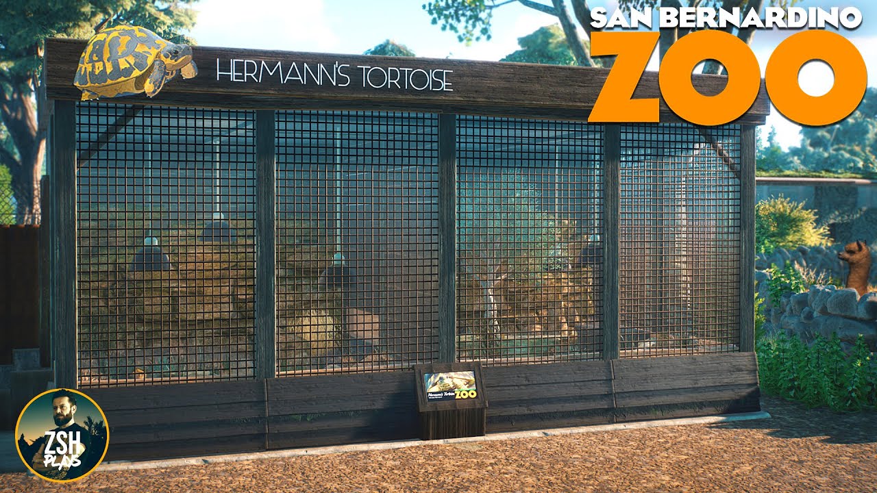 Building a Rustic Tortoise Exhibit & Alpaca Playground! | San ...