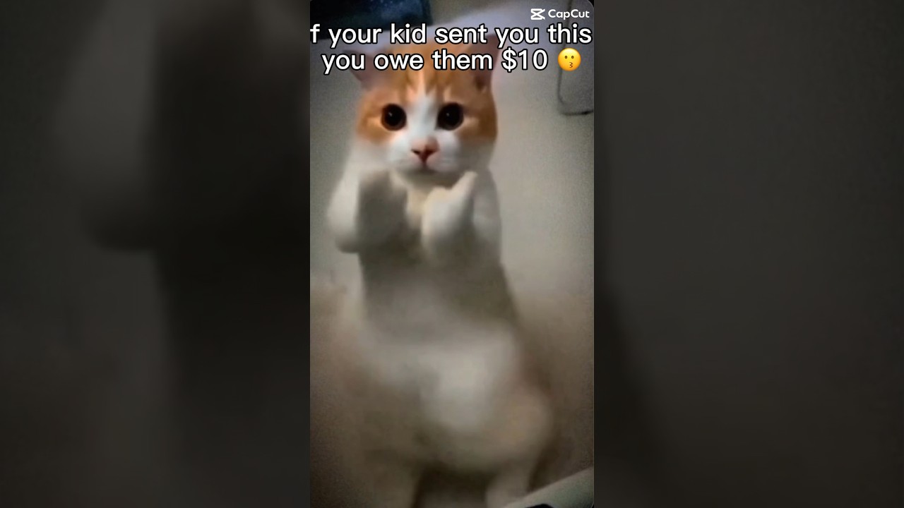 Chippy Choppa Choppa #meme #funny #gorillatagfun - YouTube