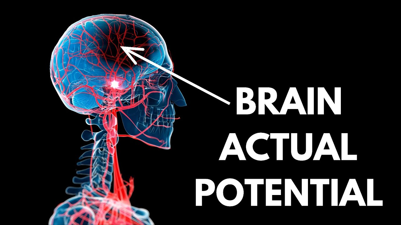 What If We Use 100% of our Brain Power? - YouTube