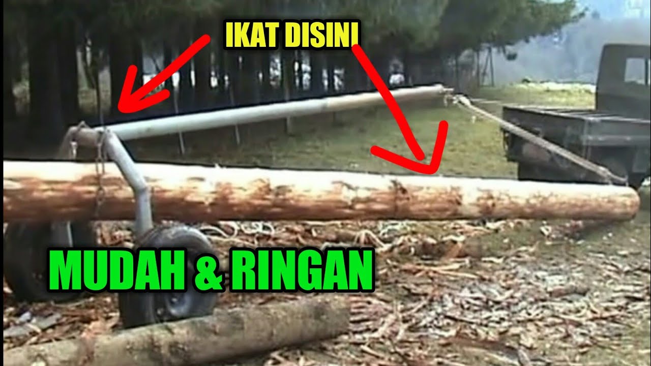 Gotong kayu mudah | ANGKAT KAYU SENDIRIAN | bawa kayu gelondong | usung ...