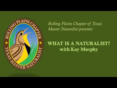 What is a Naturalist?  with Kay Murphy