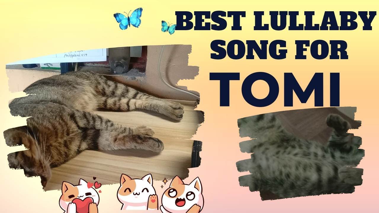 BEST LULLABY SONG FOR TOMI (JAPANESE SONG) - YouTube