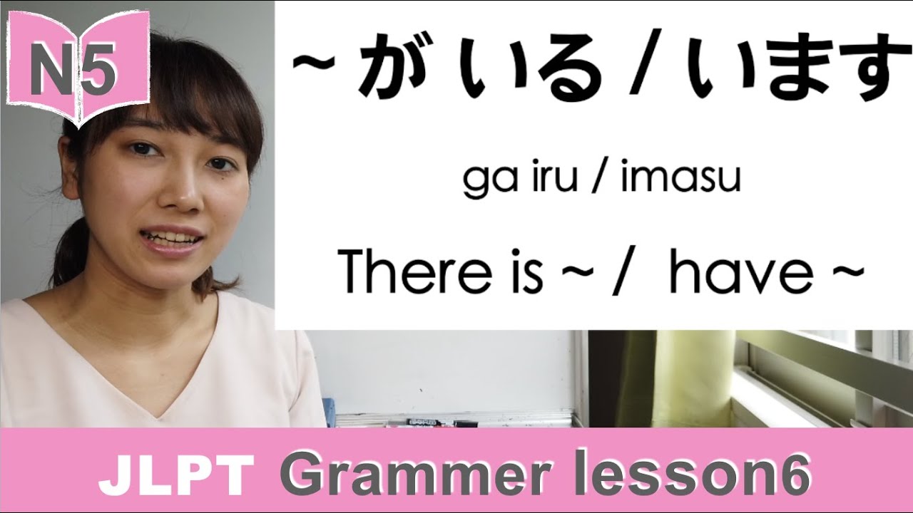 JLPT N5 Grammar lesson6 - 〜がいる, います(ga iru, imasu) / There is~, have ...