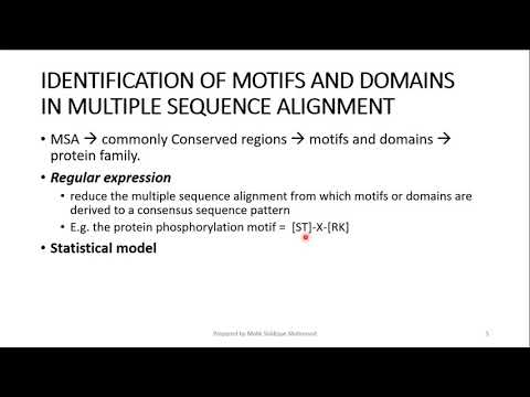 Motifs and Domains | Bioinformatics - YouTube