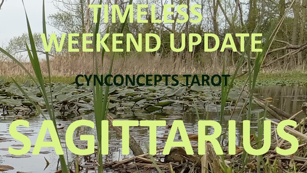 Sagittarius, "Take Positive Actions Towards New Beginnings!" Timeless ...