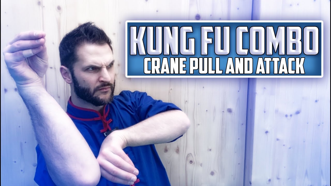 Kung Fu Combo - Crane Pull and Attack - YouTube